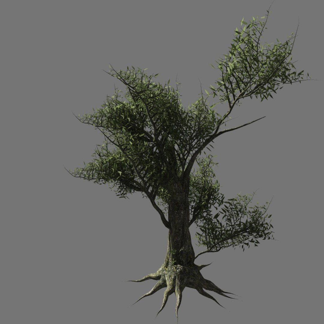 3ds Max Olive Tree