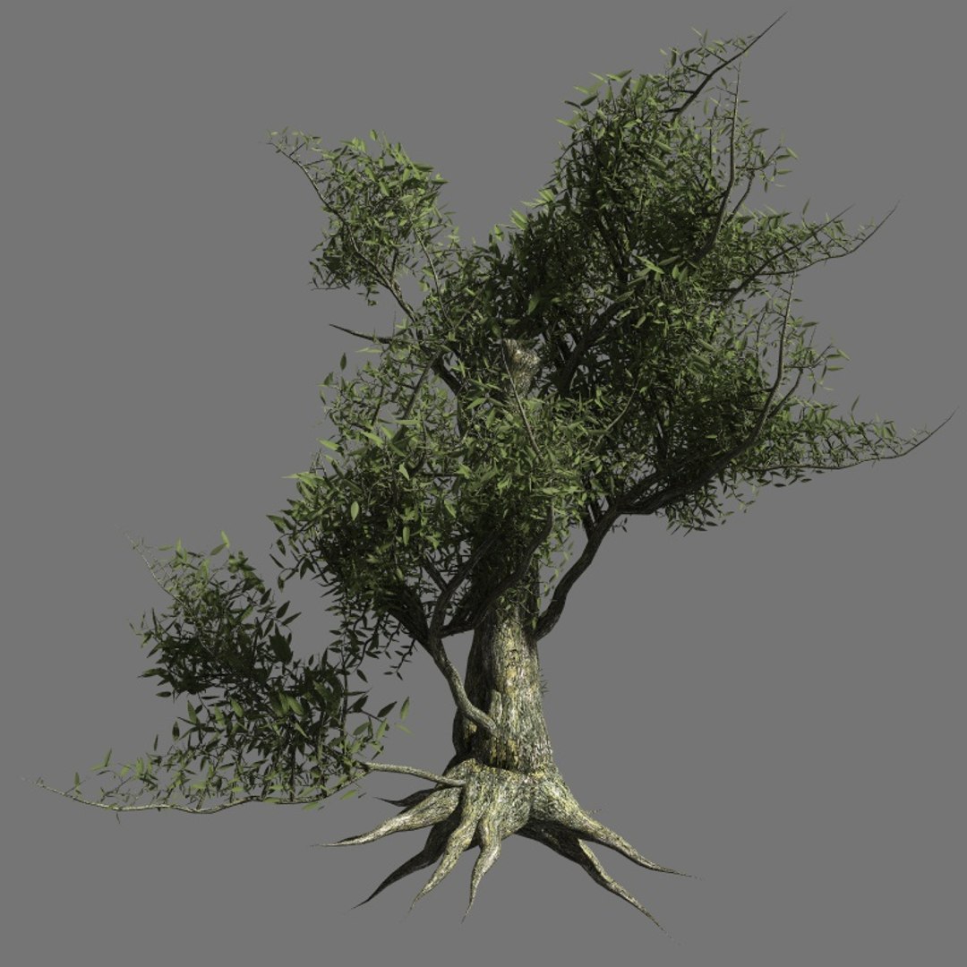 3ds Max Olive Tree