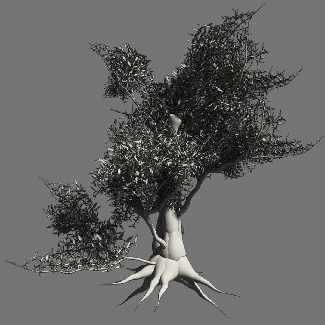 3ds Max Olive Tree