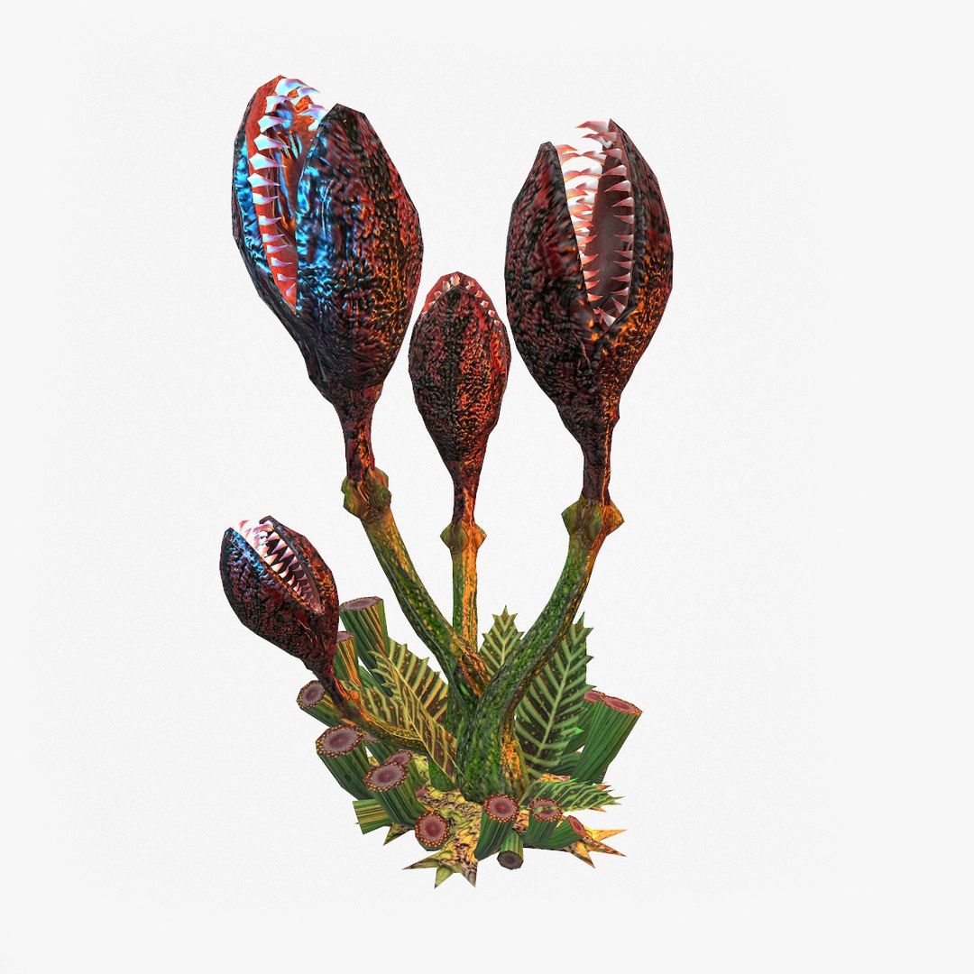 Flower Monster 3d Obj