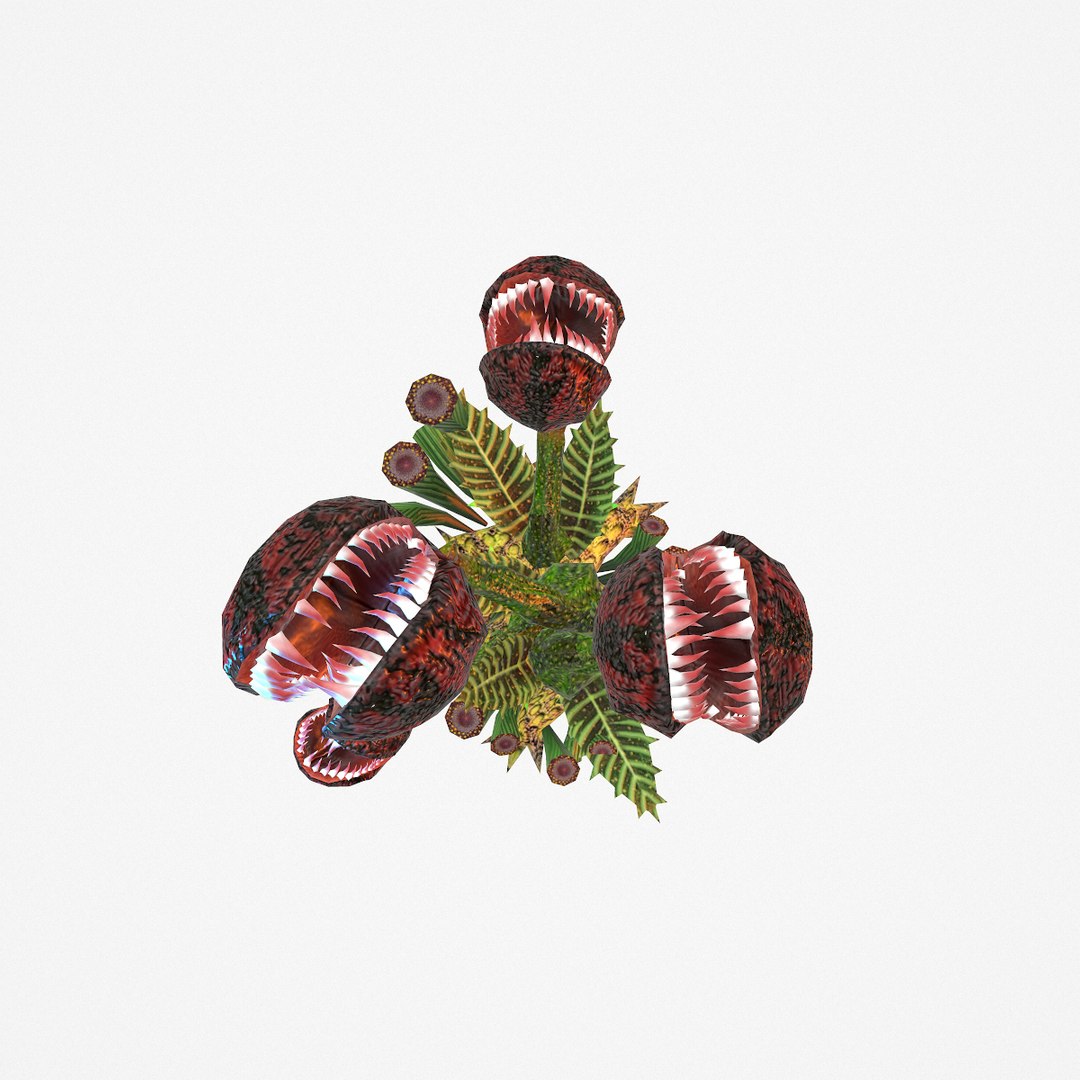 Flower Monster 3d Obj