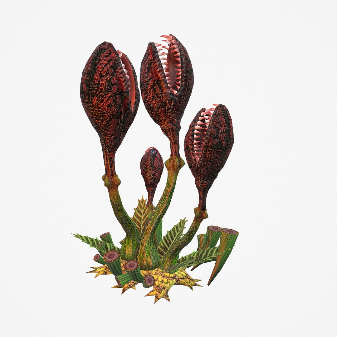 Flower Monster 3d Obj