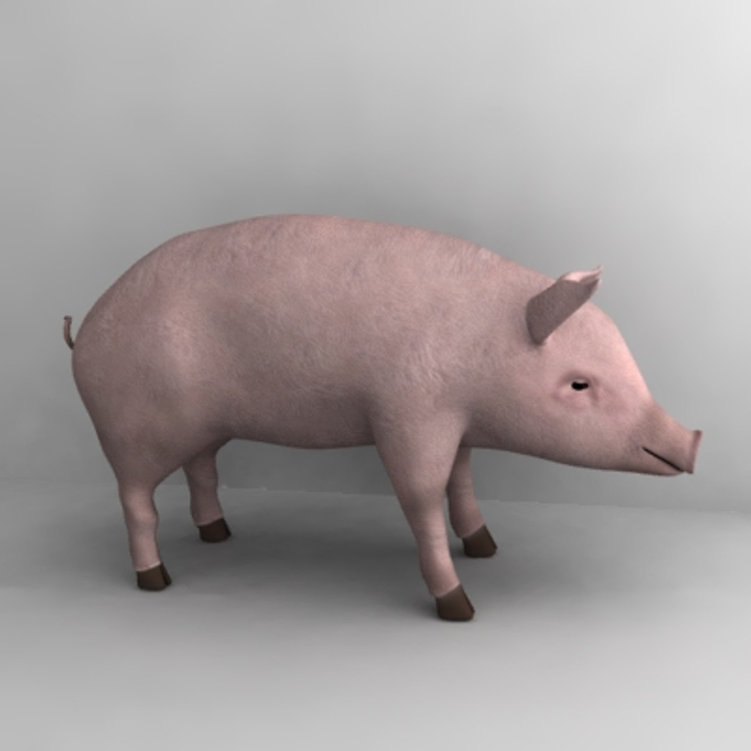 Pig 3d Model
