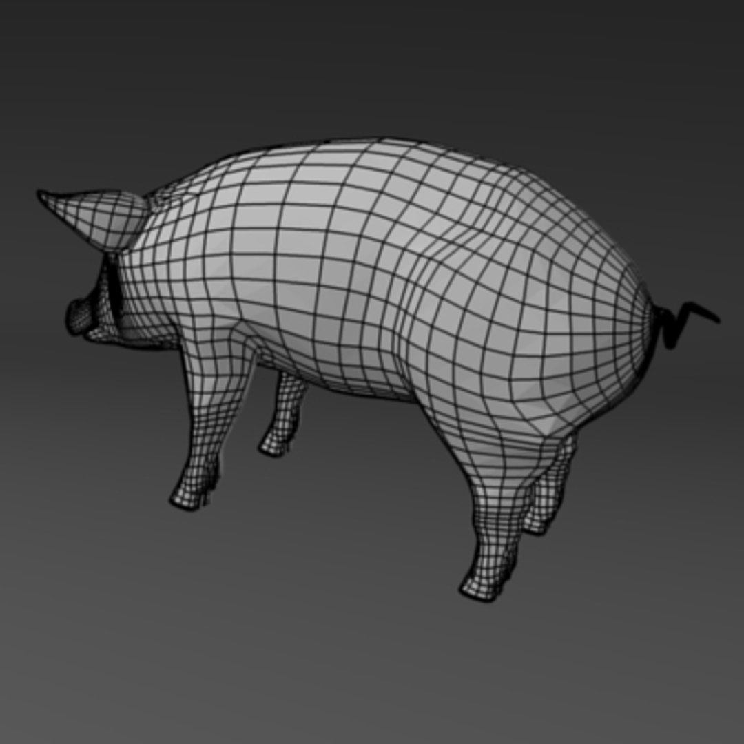 Pig 3d Model