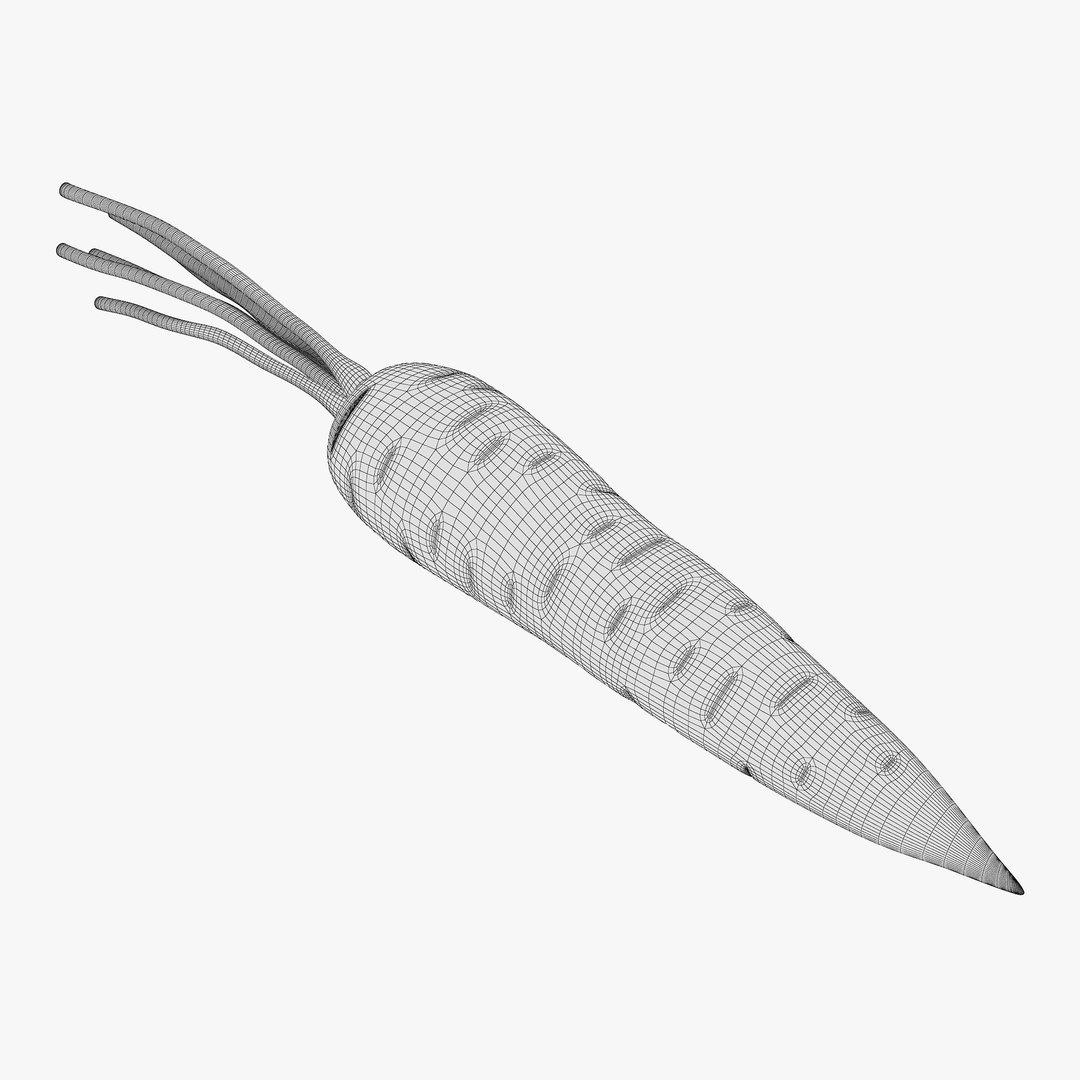 Carrot 1 3D - TurboSquid 1512470