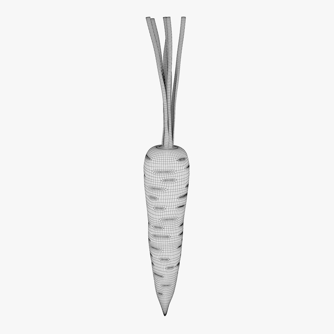 Carrot 1 3D - TurboSquid 1512470