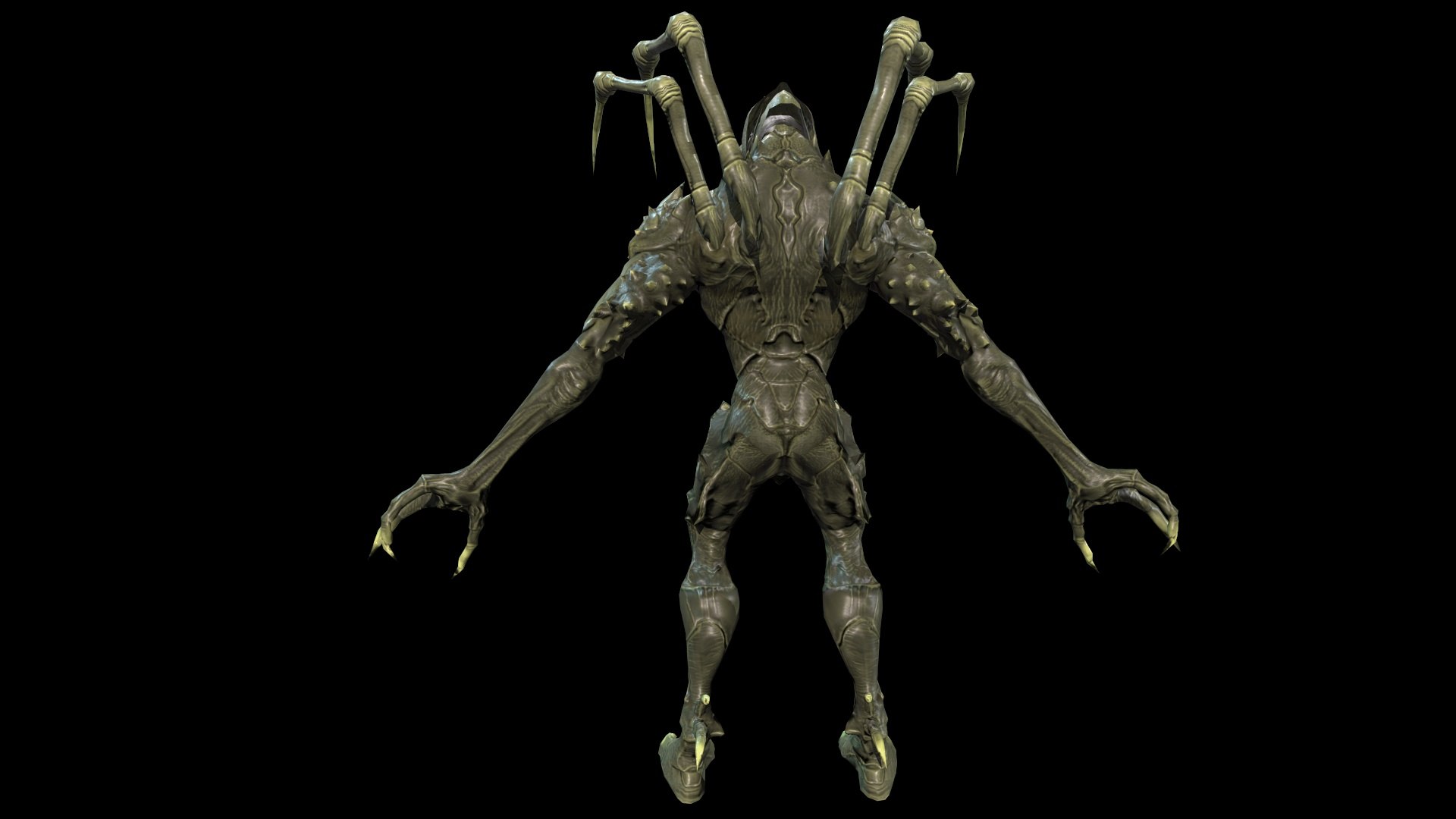 Needle beetle 3D model - TurboSquid 1715172