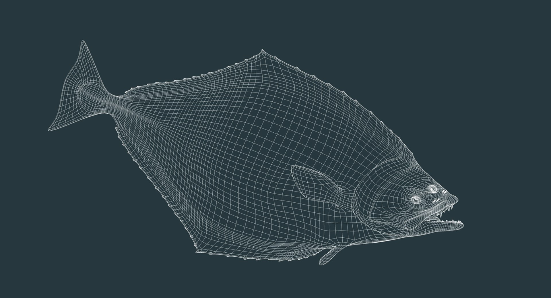 3D Atlantic Halibut - TurboSquid 1399009