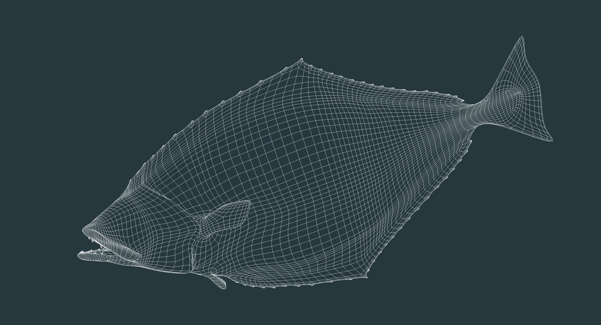 3D Atlantic Halibut - TurboSquid 1399009