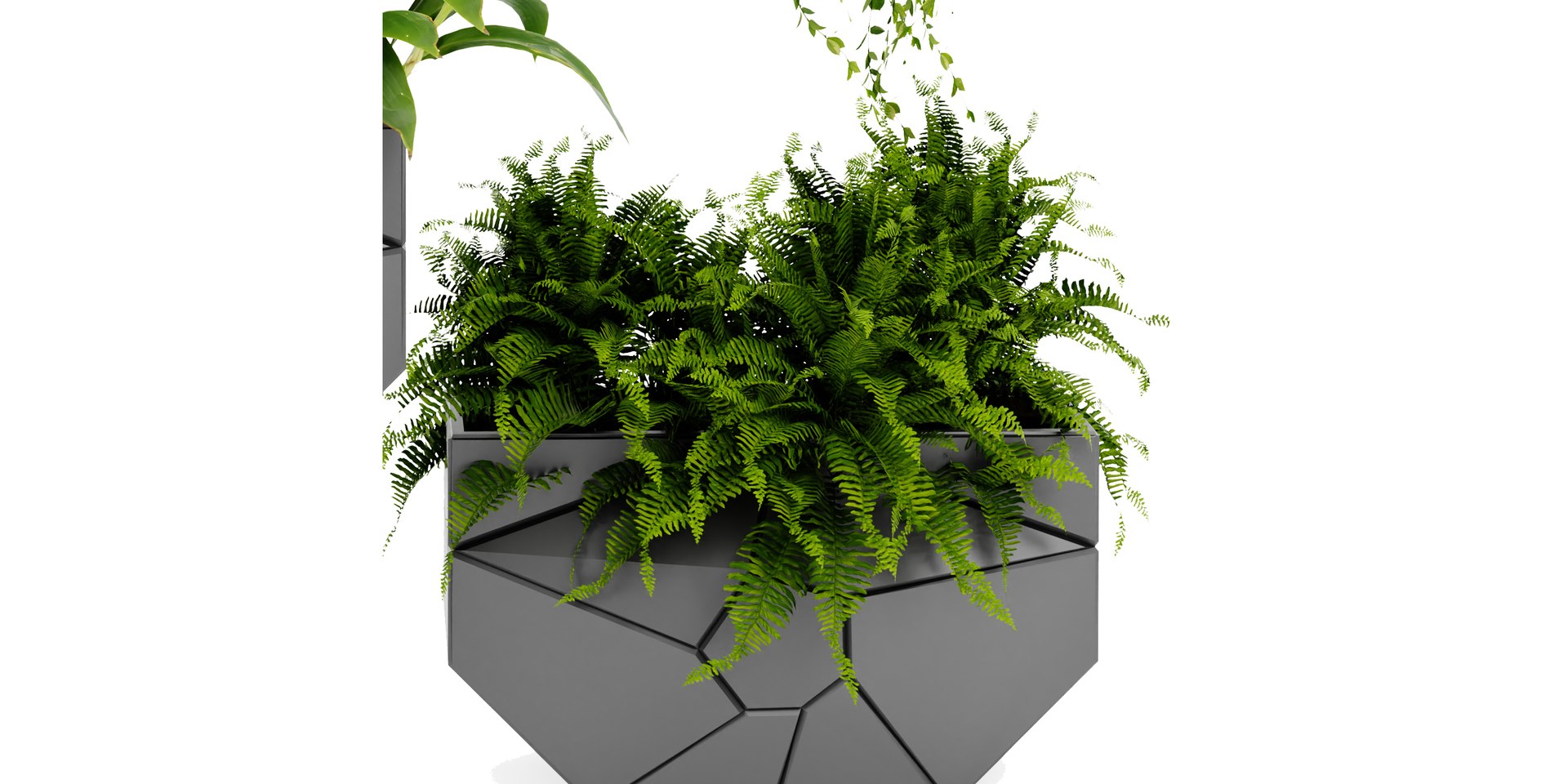Collection Plant Vol 501 - Blender 3D Model - TurboSquid 2102488