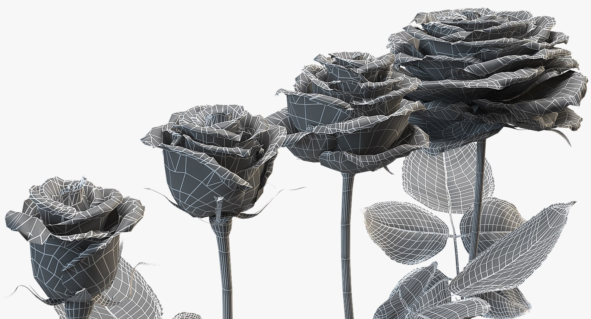 Rose 3D Model - TurboSquid 1379696