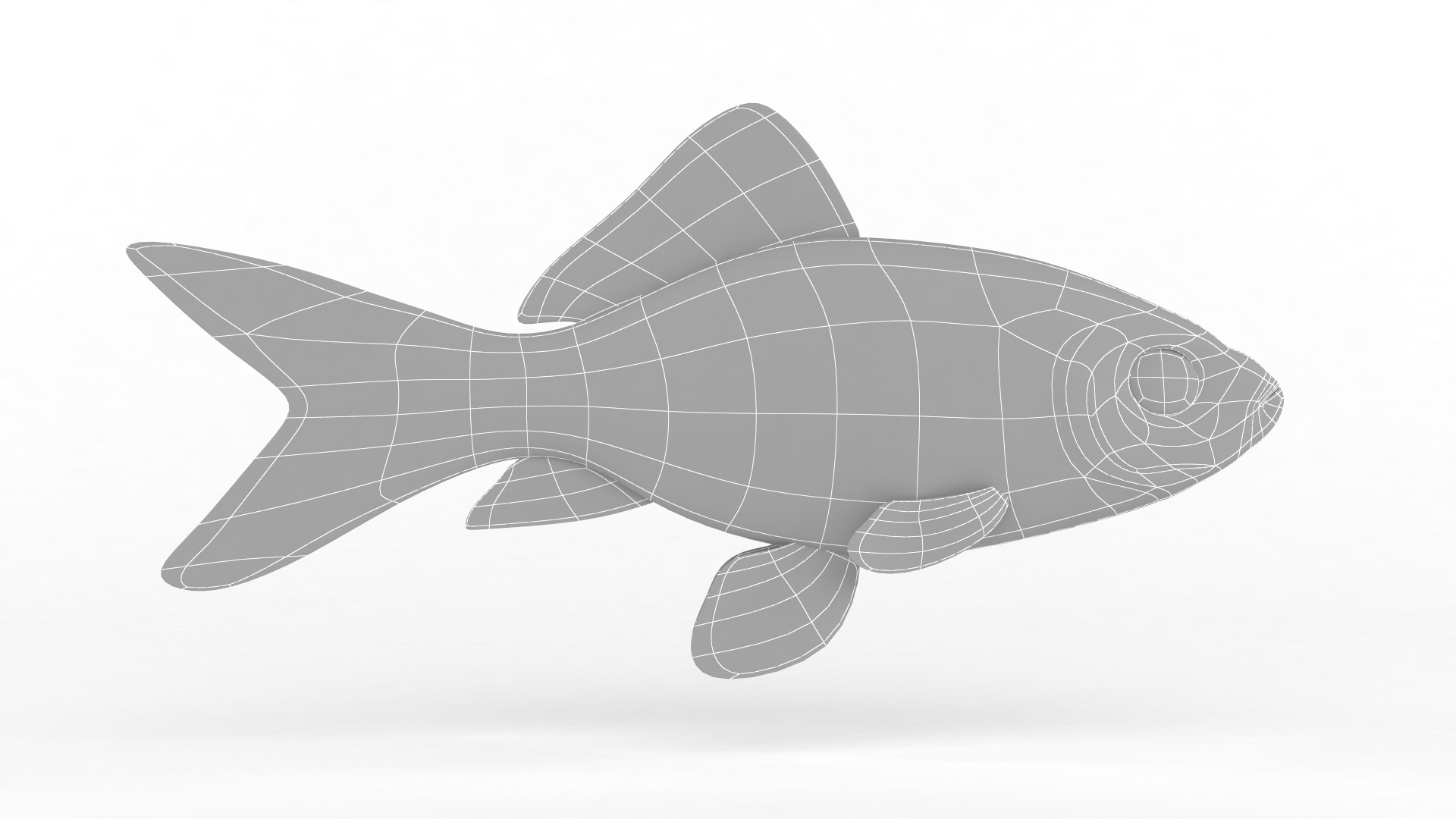 Fish Model 3D Model - TurboSquid 2200027
