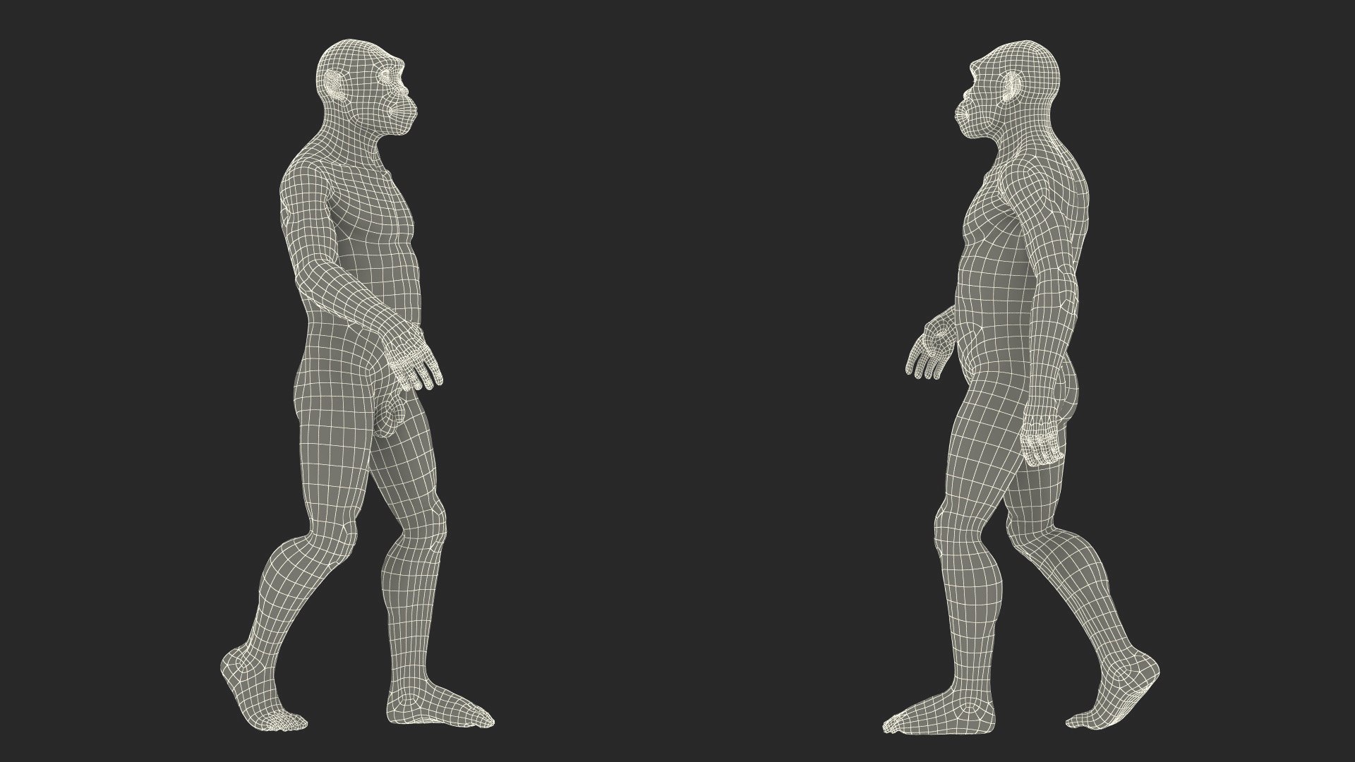 Homo Habilis Walking Pose Fur 3D - TurboSquid 2175503