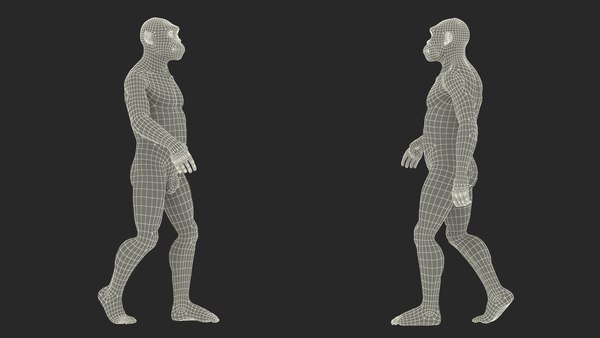 modelo 3d Homo Habilis caminando pose piel - TurboSquid 2175503