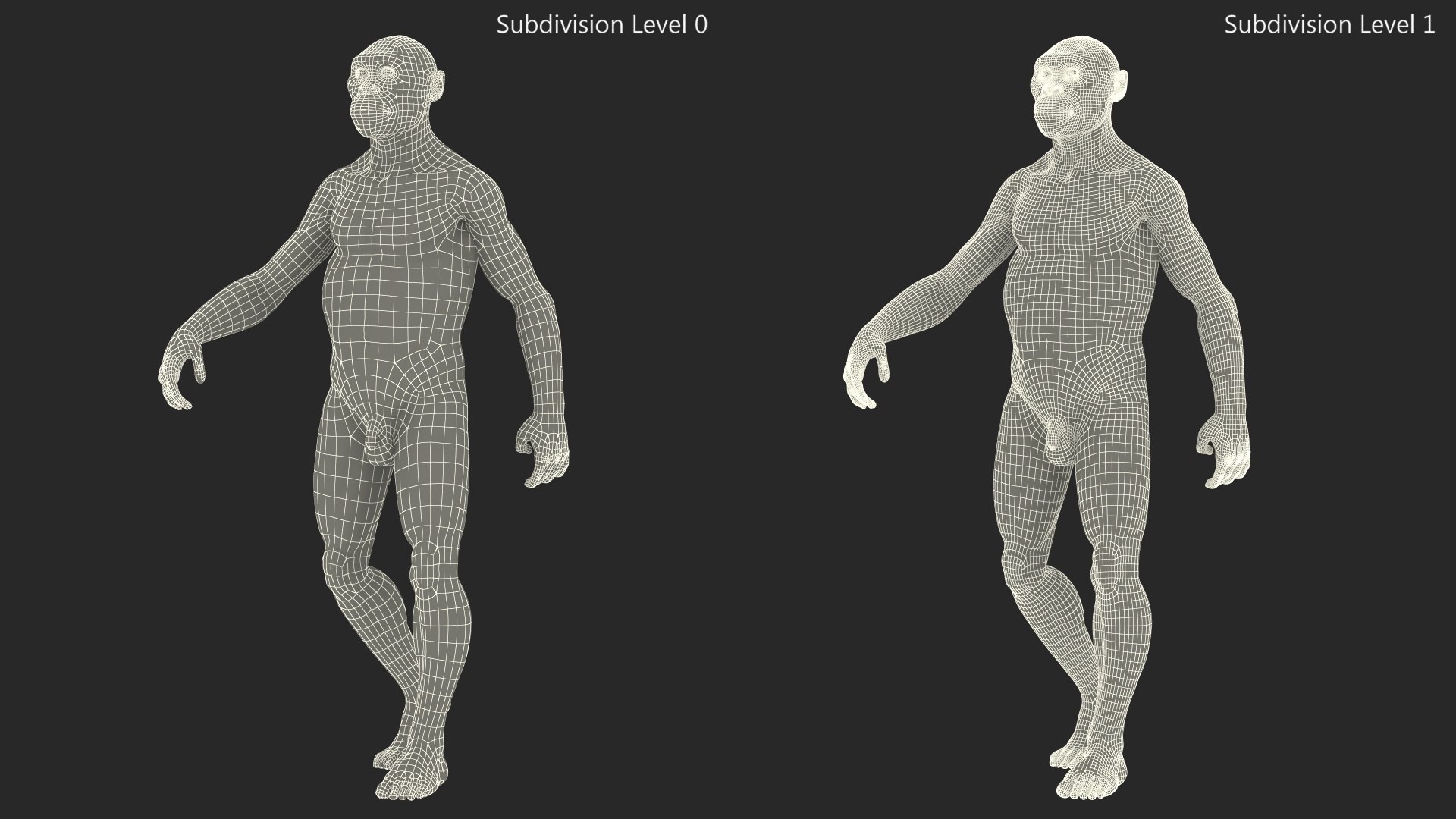 Homo Habilis Walking Pose Fur 3D - TurboSquid 2175503