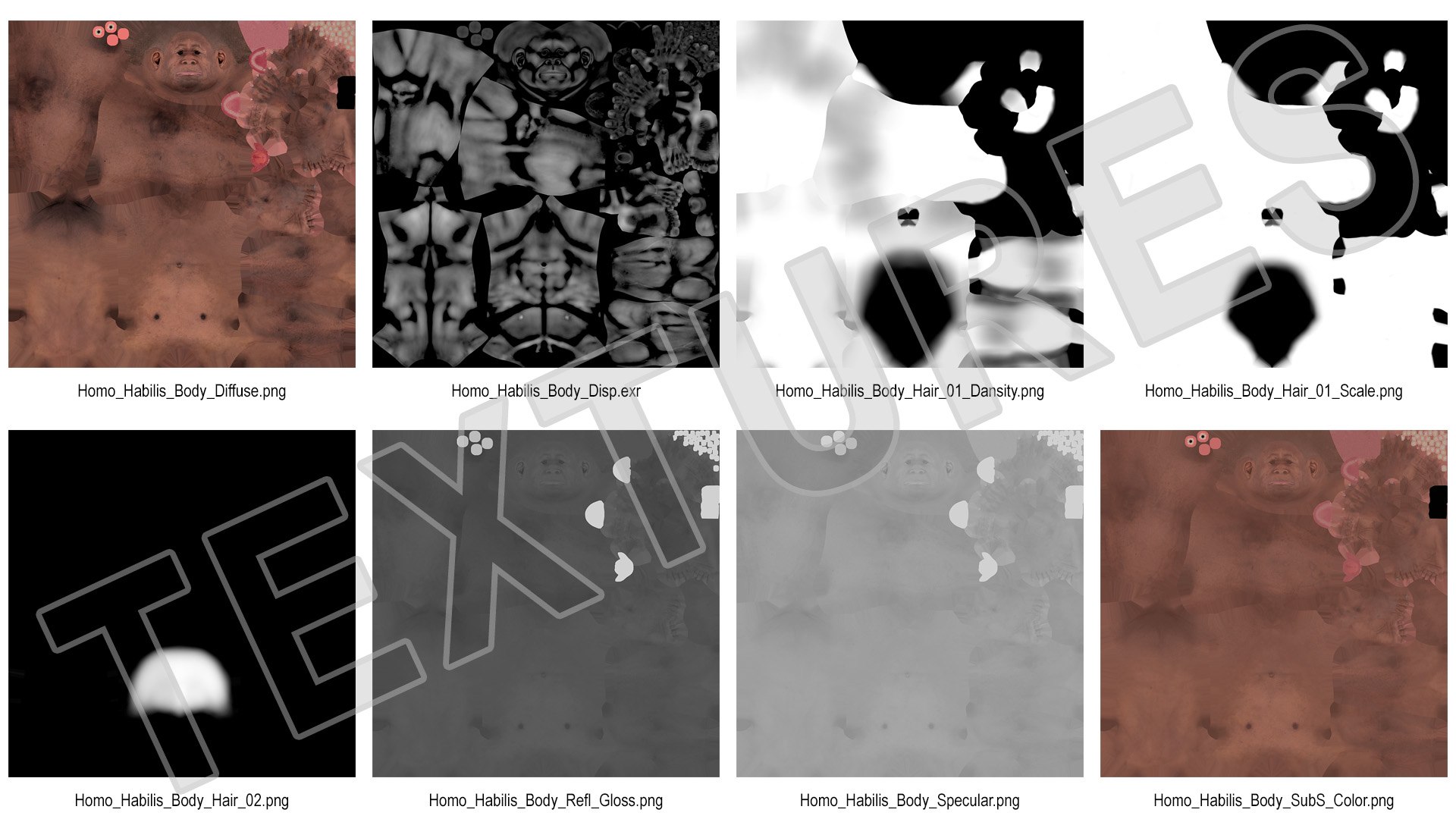 Homo Habilis Walking Pose Fur 3D - TurboSquid 2175503