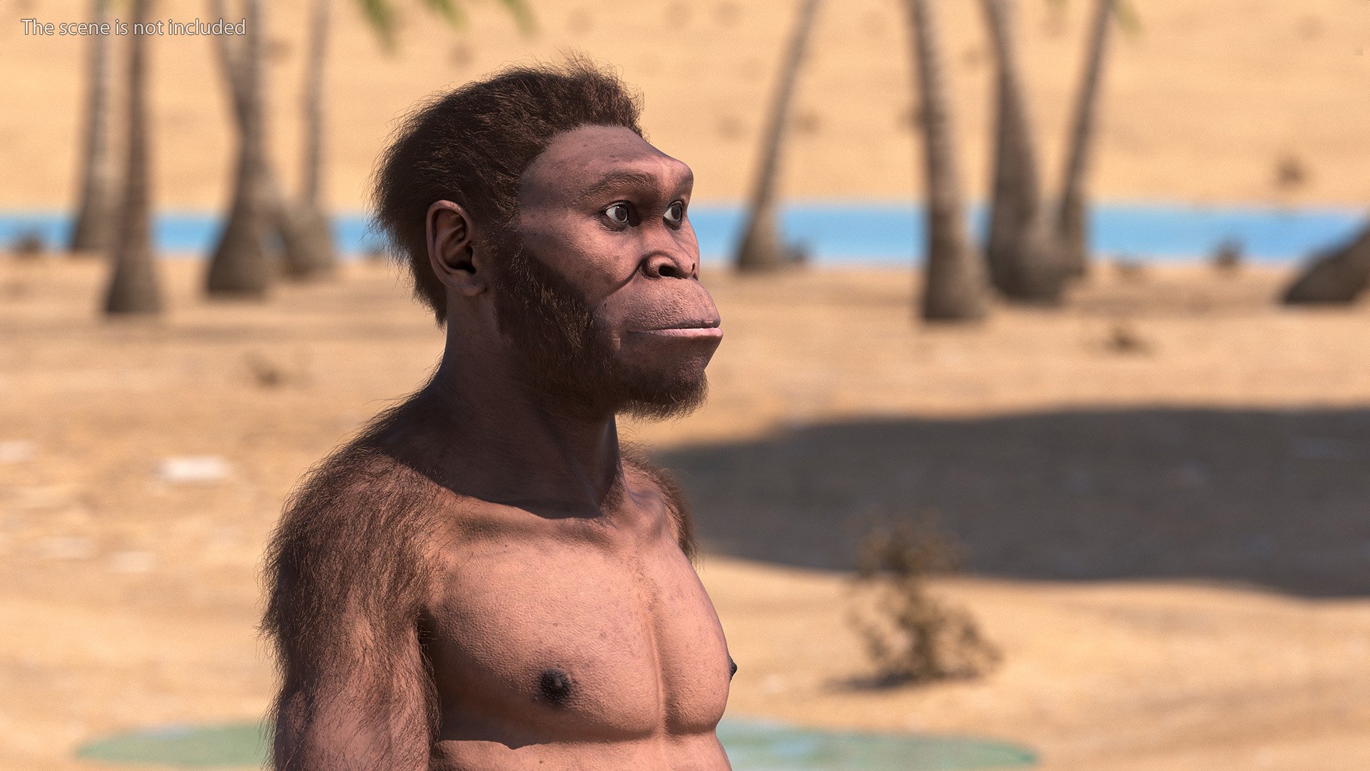 Homo Habilis Walking Pose Fur 3D - TurboSquid 2175503