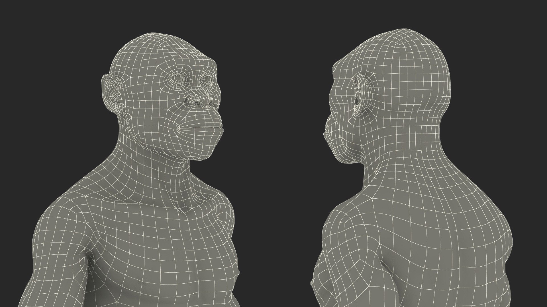 Homo Habilis Walking Pose Fur 3D - TurboSquid 2175503