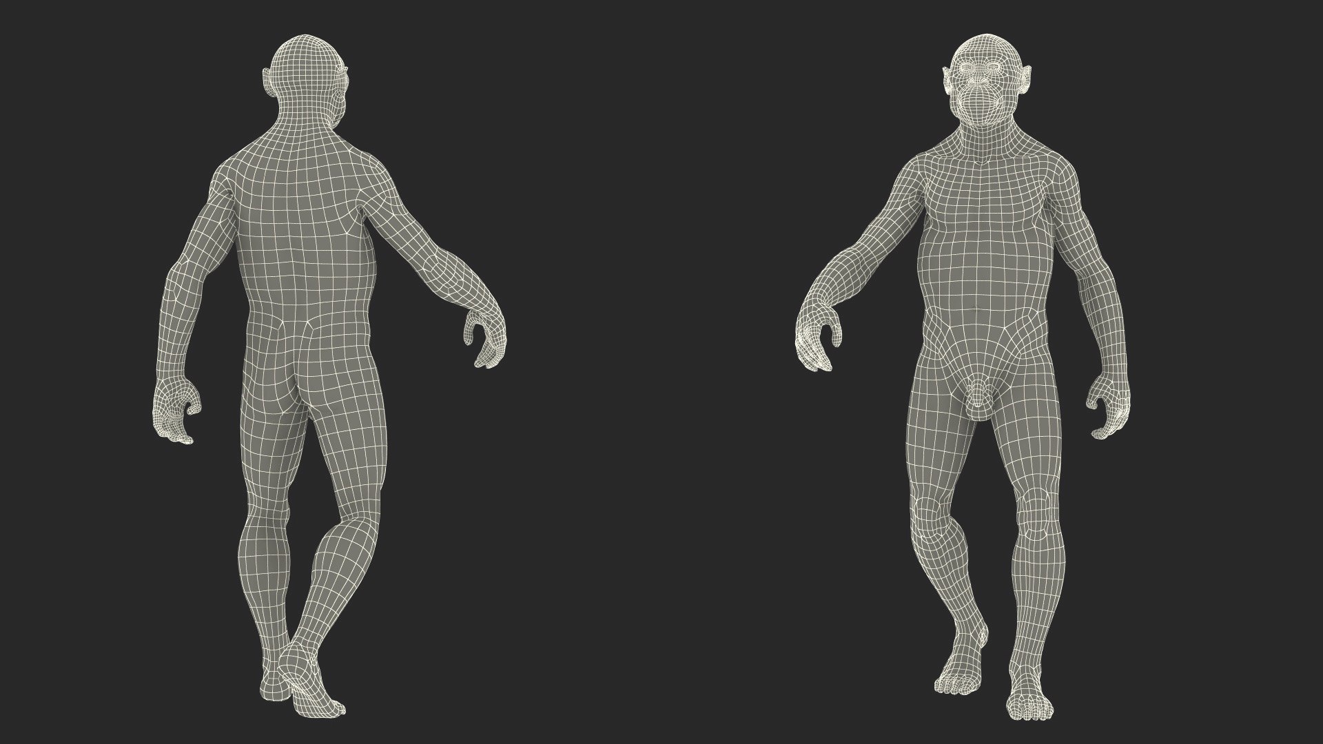 Homo Habilis Walking Pose Fur 3D - TurboSquid 2175503