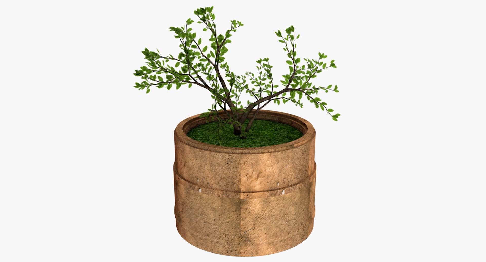 Small Plant 3D - TurboSquid 1434789