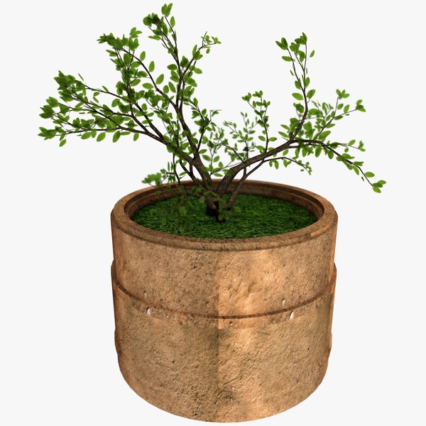 Small plant 3D - TurboSquid 1434789