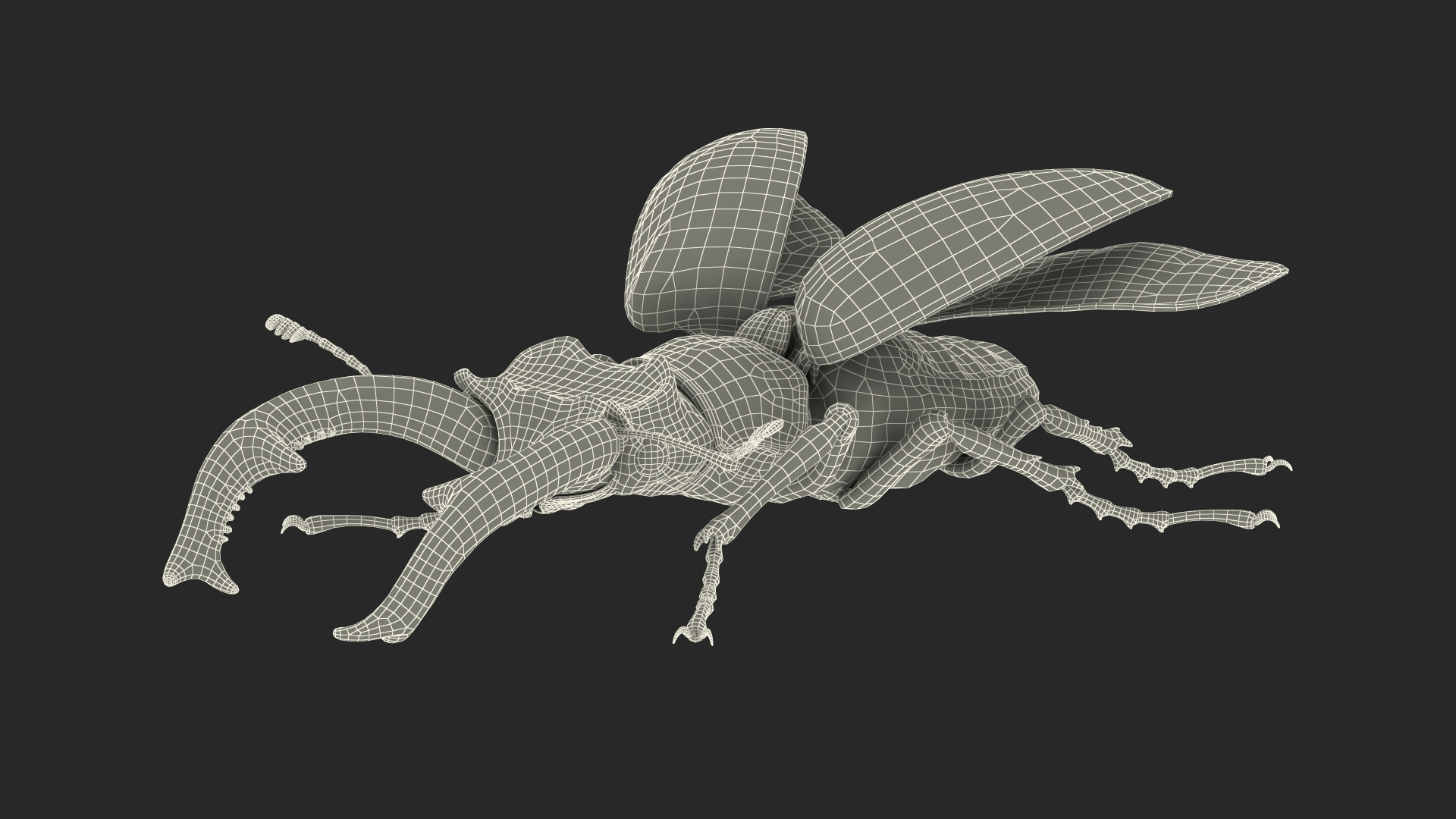 Lucanus Cervus Stag Beetle 3D Model - TurboSquid 1511389