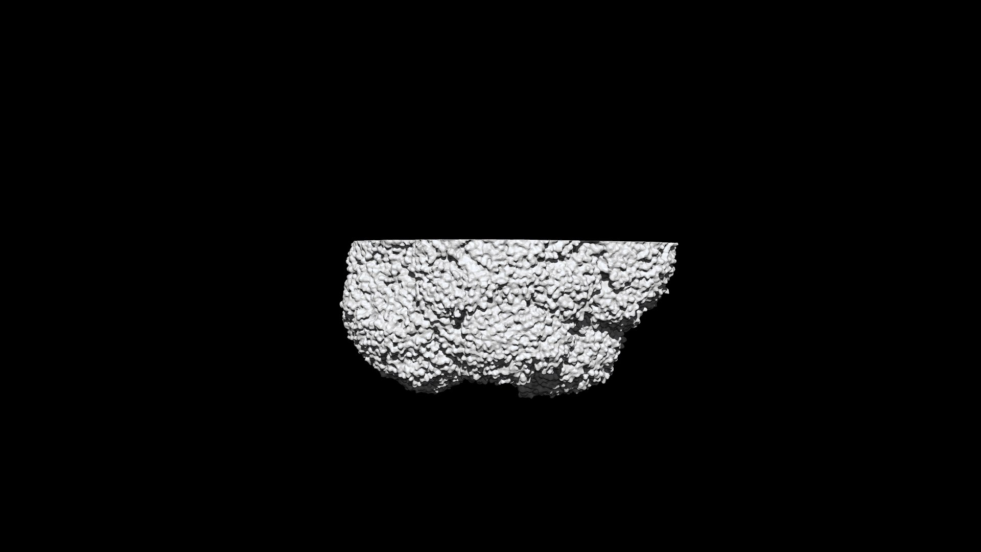 Broccoli Cut 3D CT Scan Model 1 Decimate 30percent 3D Model ...