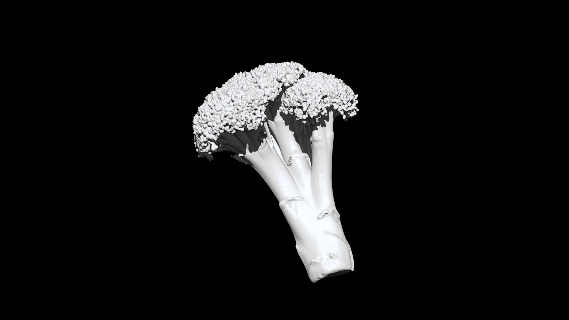 Broccoli Cut 3D CT Scan Model 1 Decimate 30percent 3D Model ...