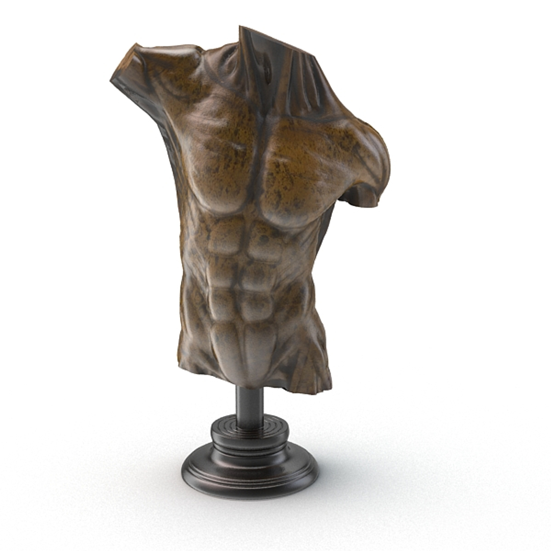 male torso max
