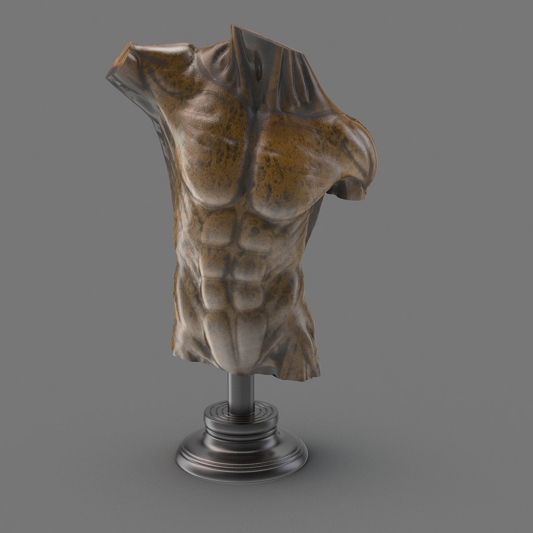 male torso max