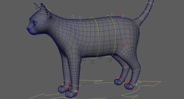 3D cat animation - TurboSquid 1326751