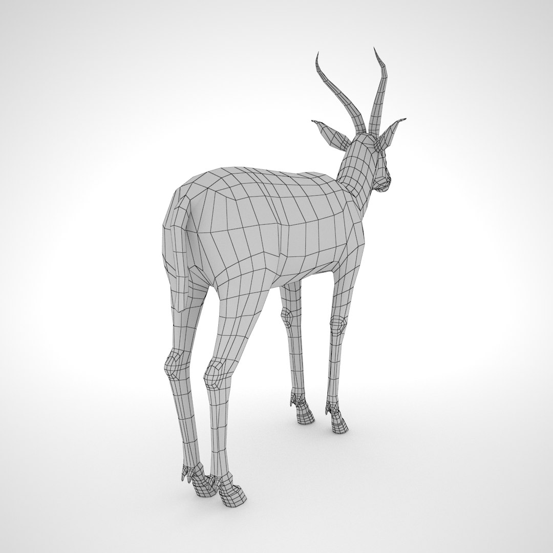 3D Model Springbok - TurboSquid 1178770