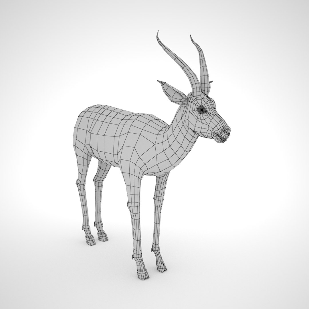 3D Model Springbok - TurboSquid 1178770