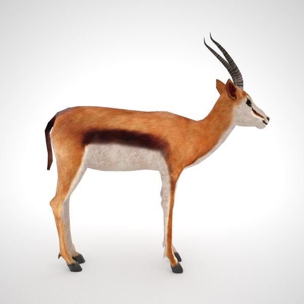 3D model springbok - TurboSquid 1178770
