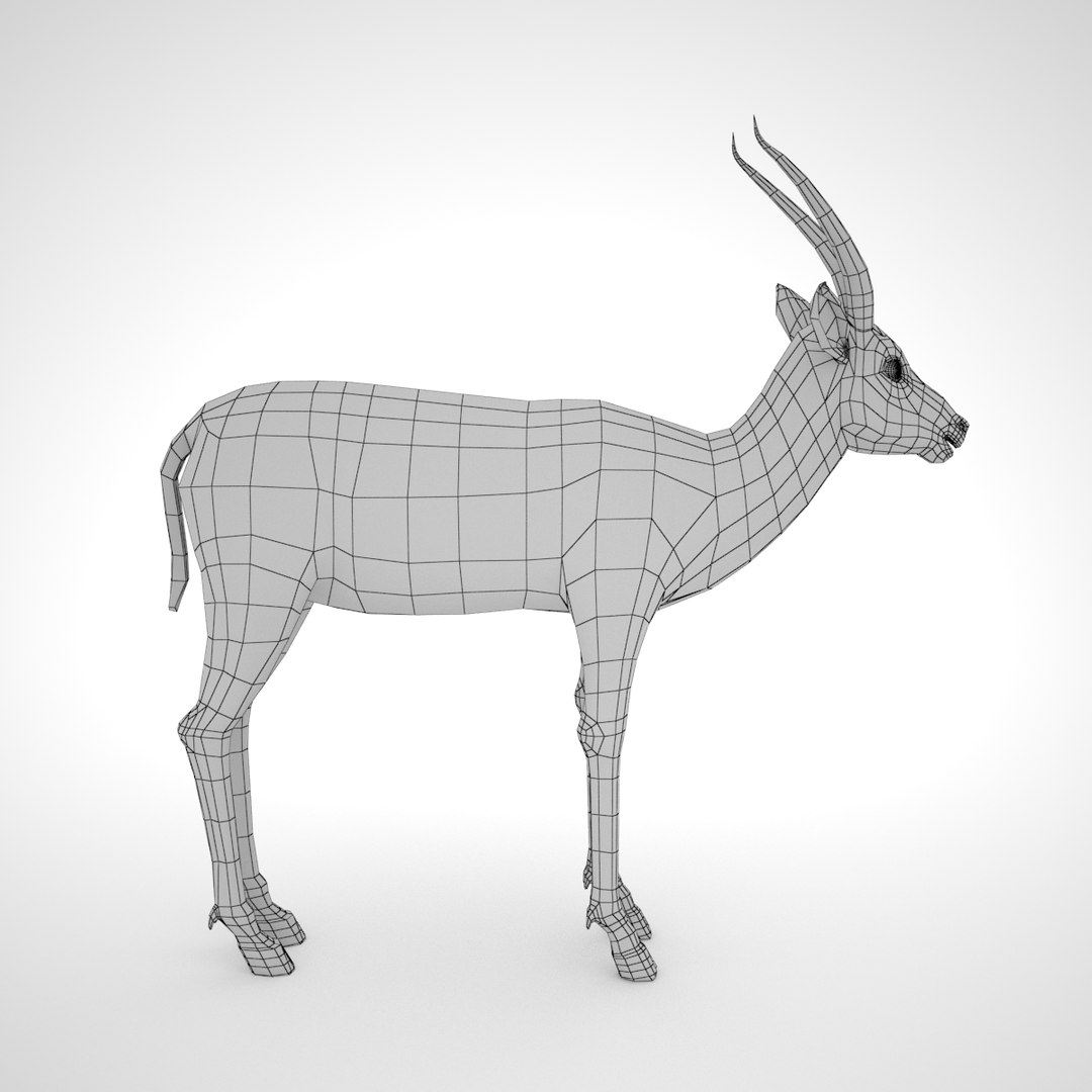 3D Model Springbok - TurboSquid 1178770