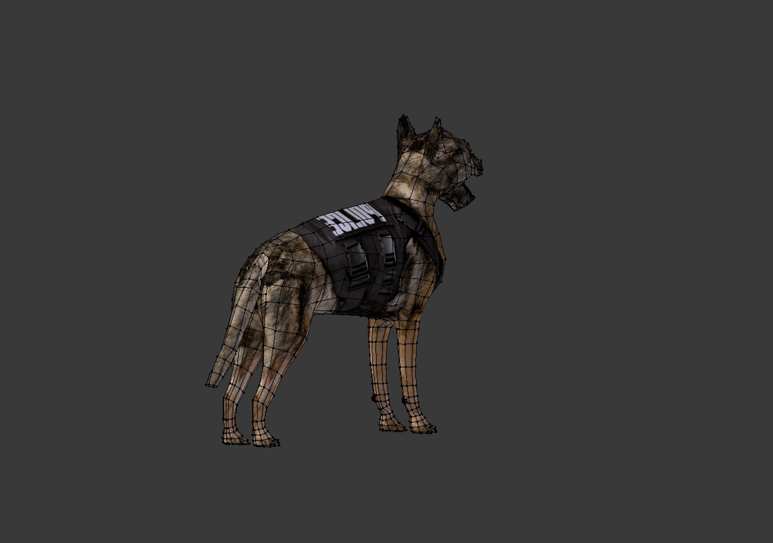 3ds dog
