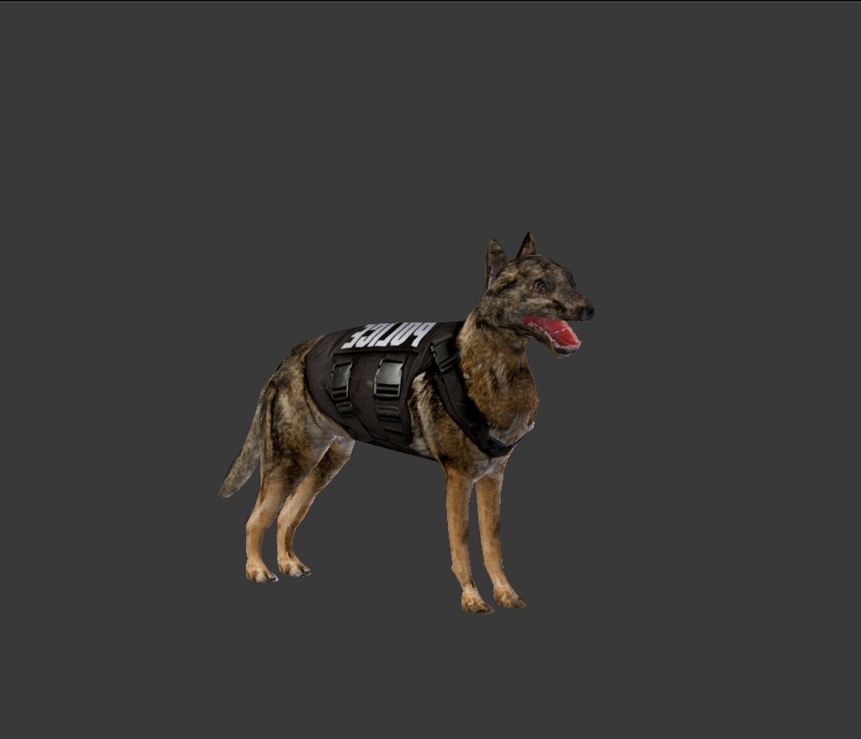3ds dog
