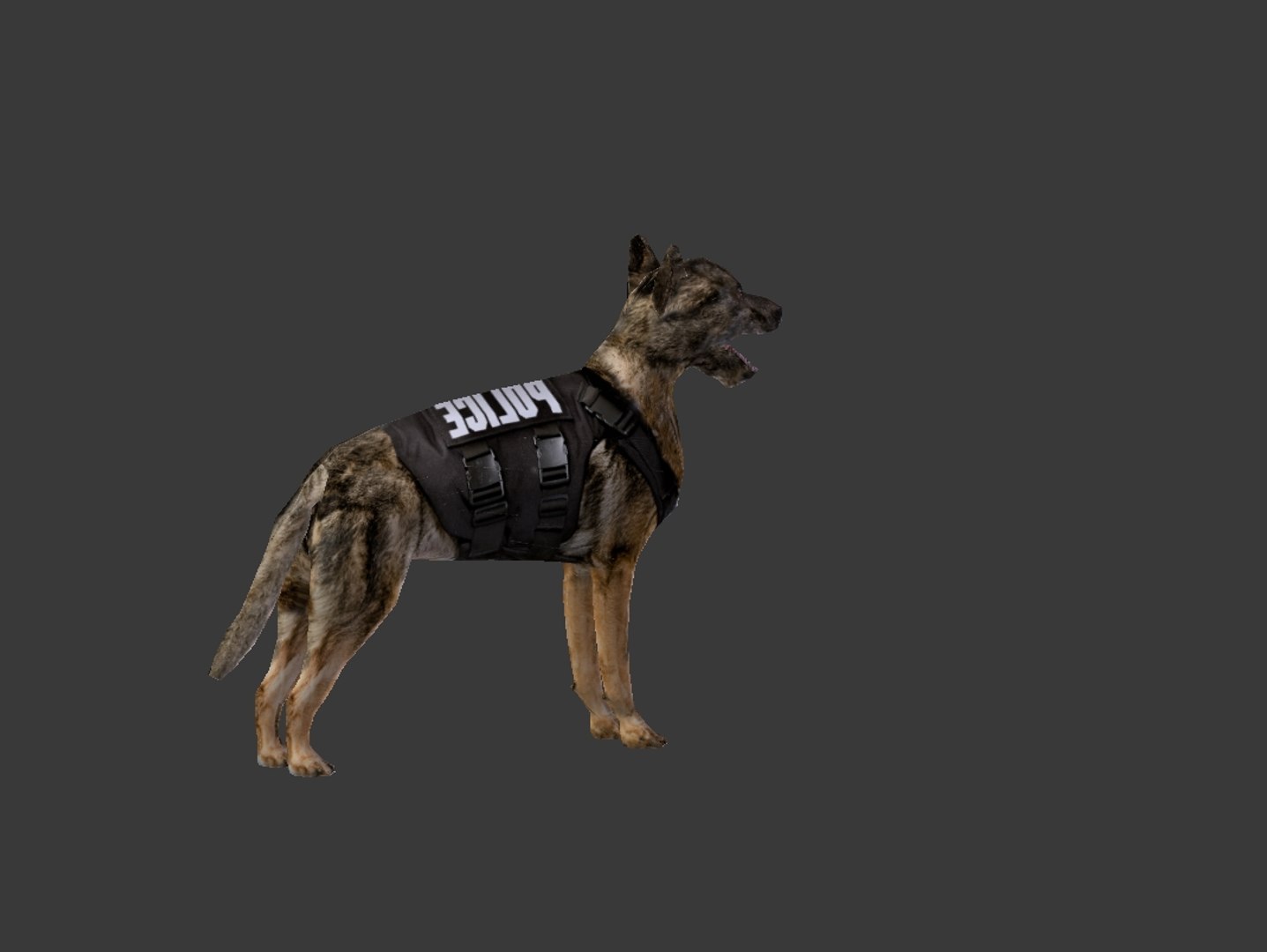 3ds dog