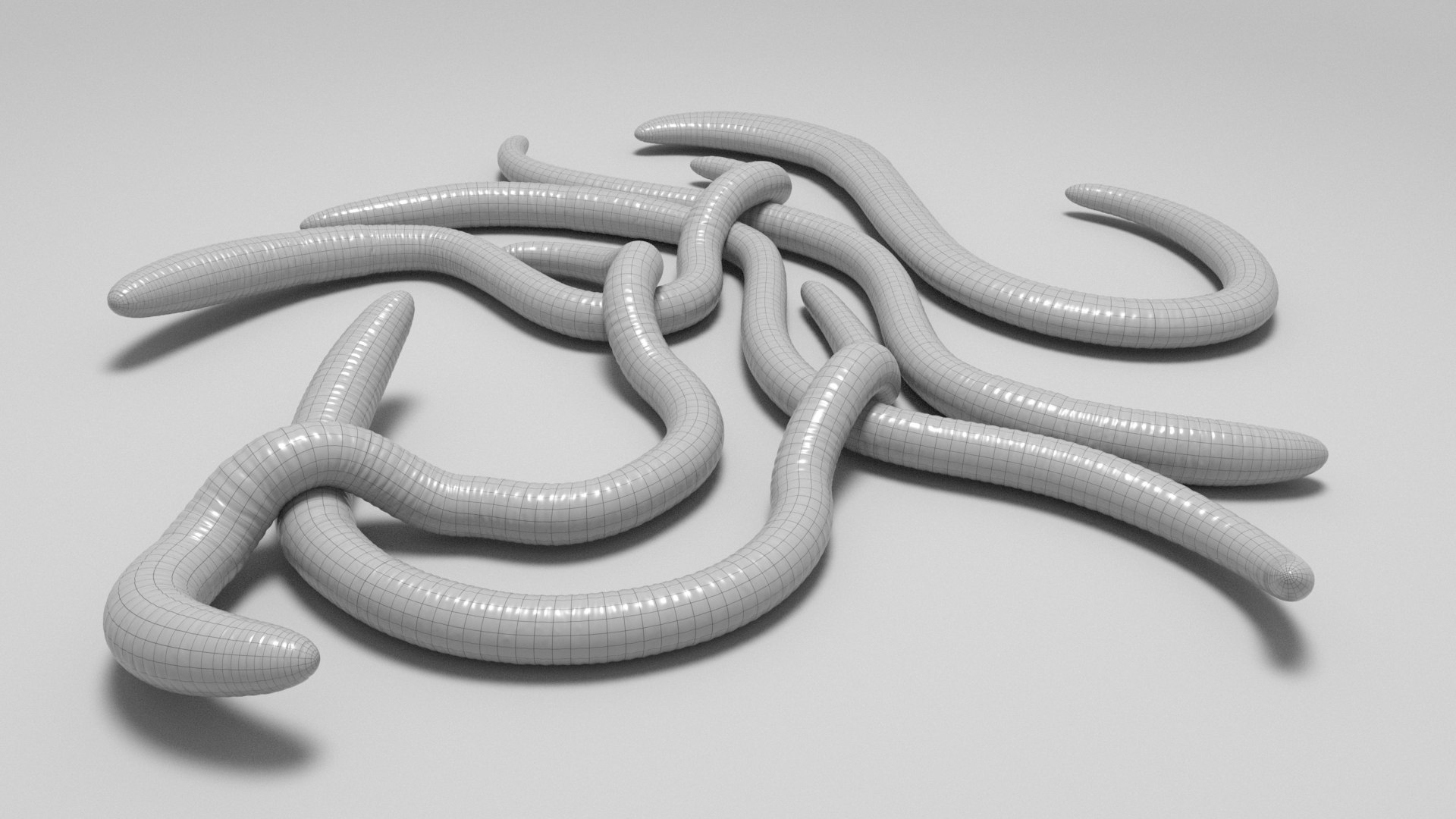 Worms 3D Model - TurboSquid 1988278