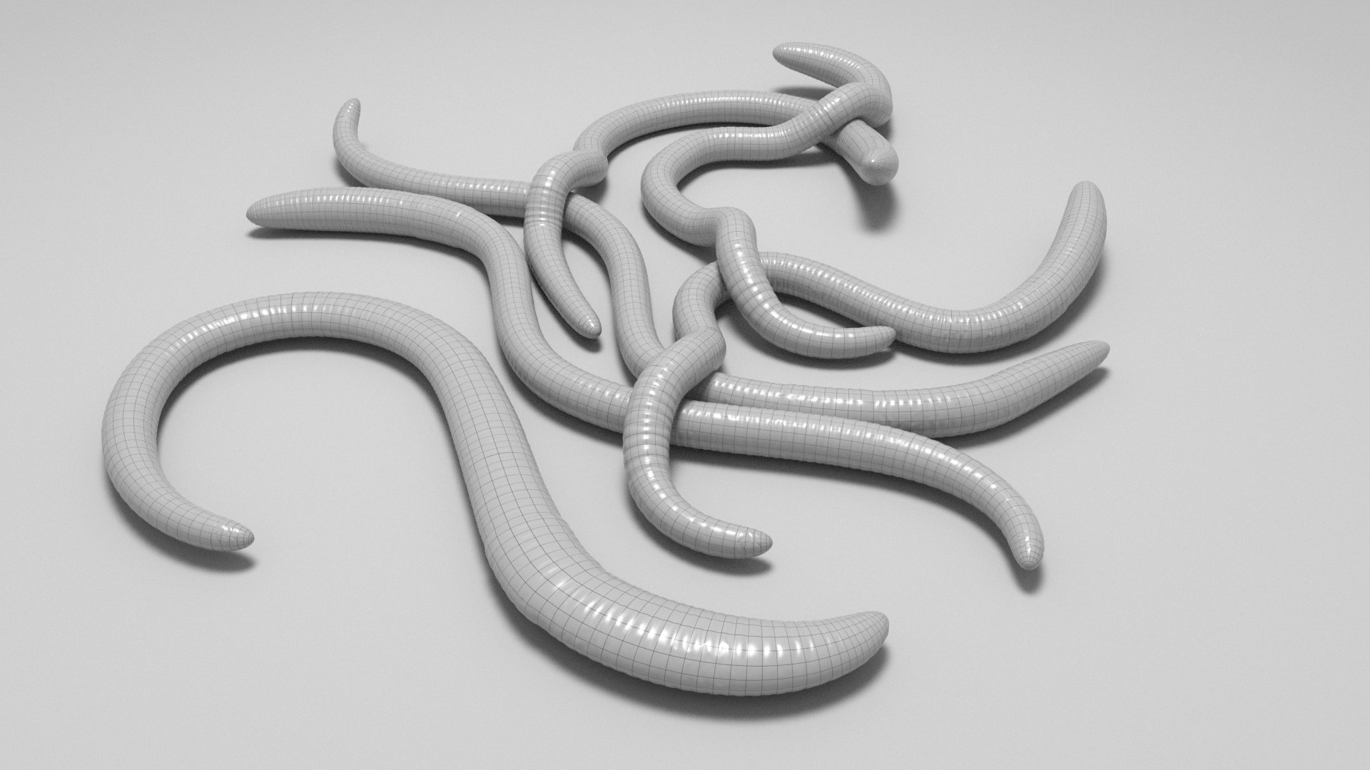 Worms 3D Model - TurboSquid 1988278
