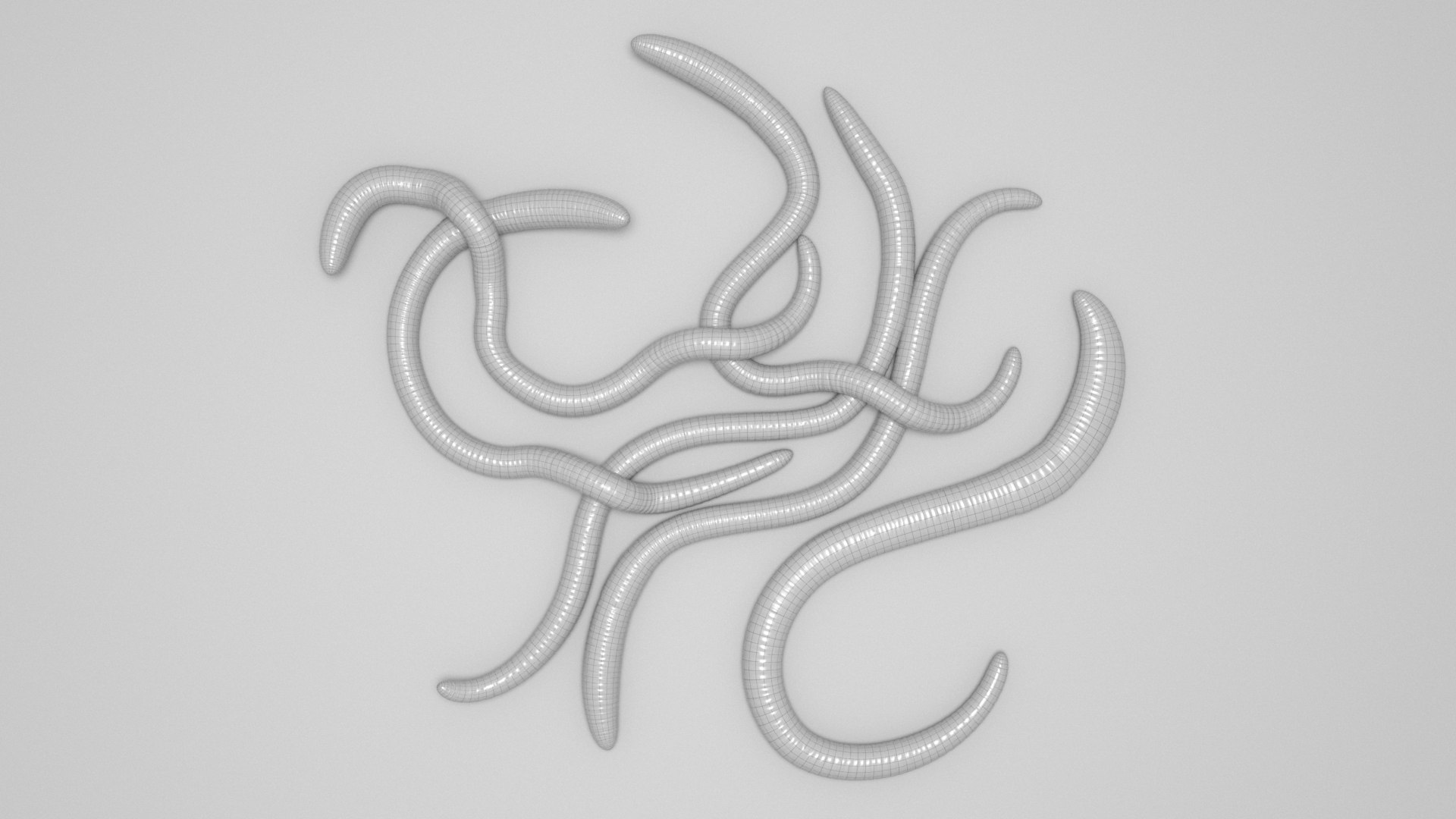 Worms 3D Model - TurboSquid 1988278