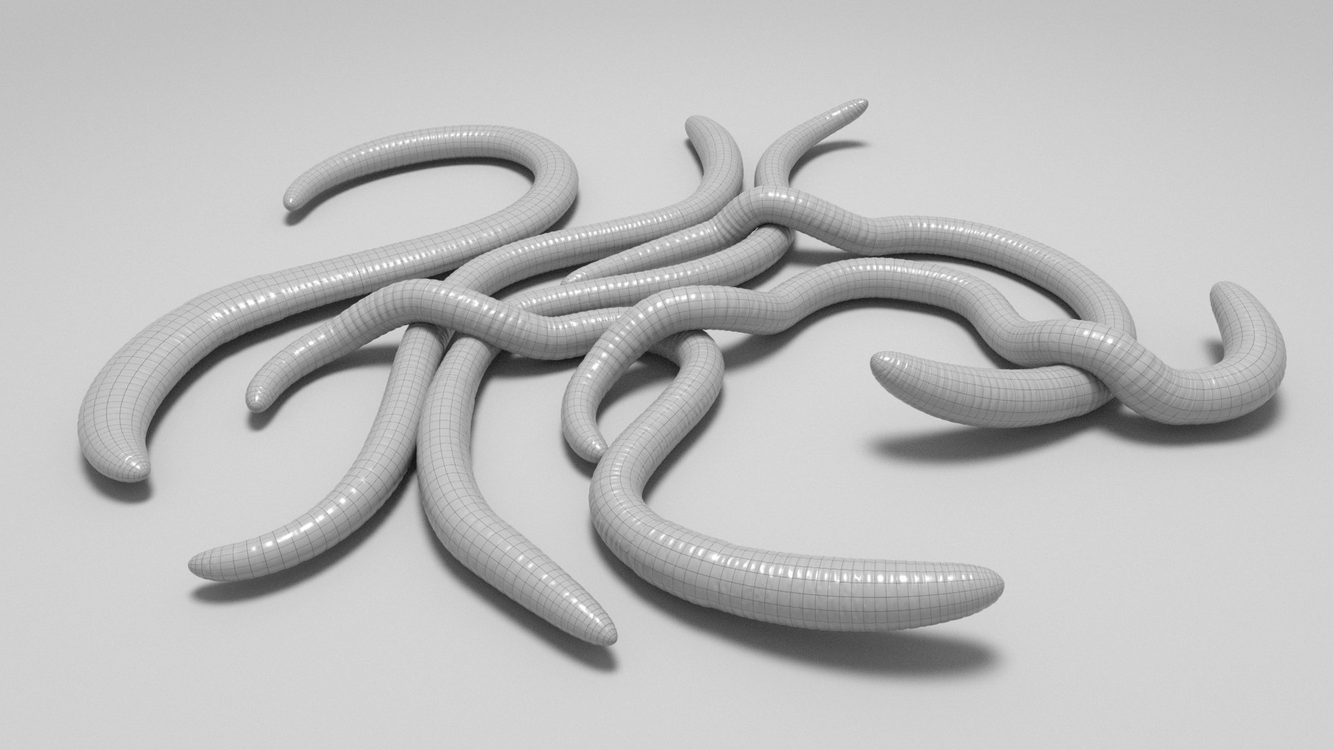 Worms 3D Model - TurboSquid 1988278