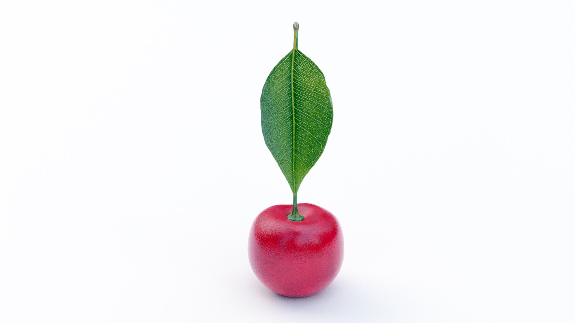 3D Cherry - TurboSquid 1955616