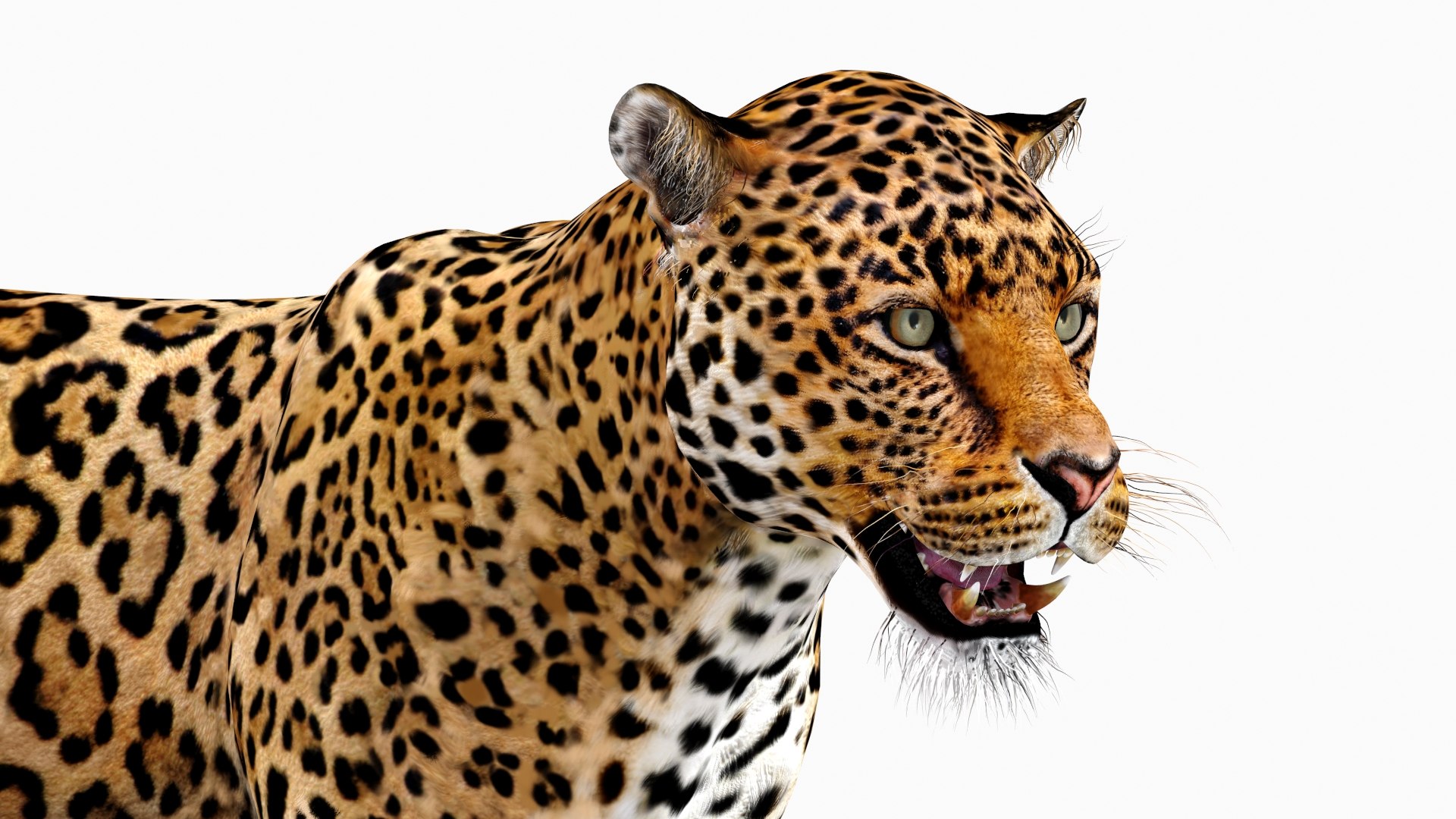 Rigged Scanline Arnold 3D - TurboSquid 1470560