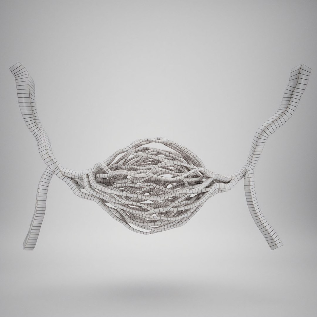 3D Blood Vessel Anatomy - Capillary - TurboSquid 2154018