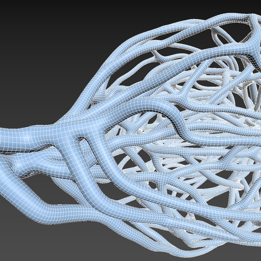 3D Blood Vessel Anatomy - Capillary - TurboSquid 2154018