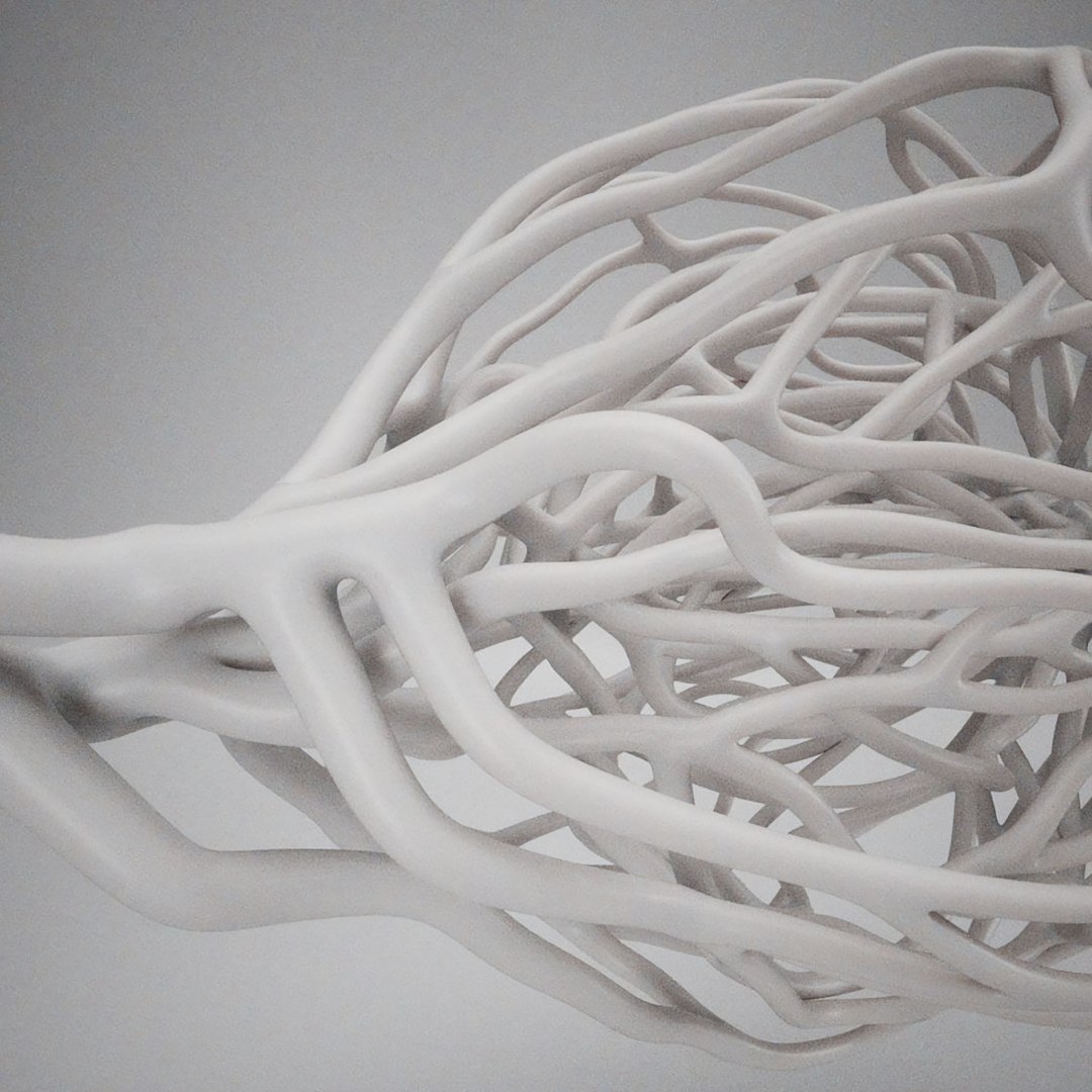 3D Blood Vessel Anatomy - Capillary - TurboSquid 2154018