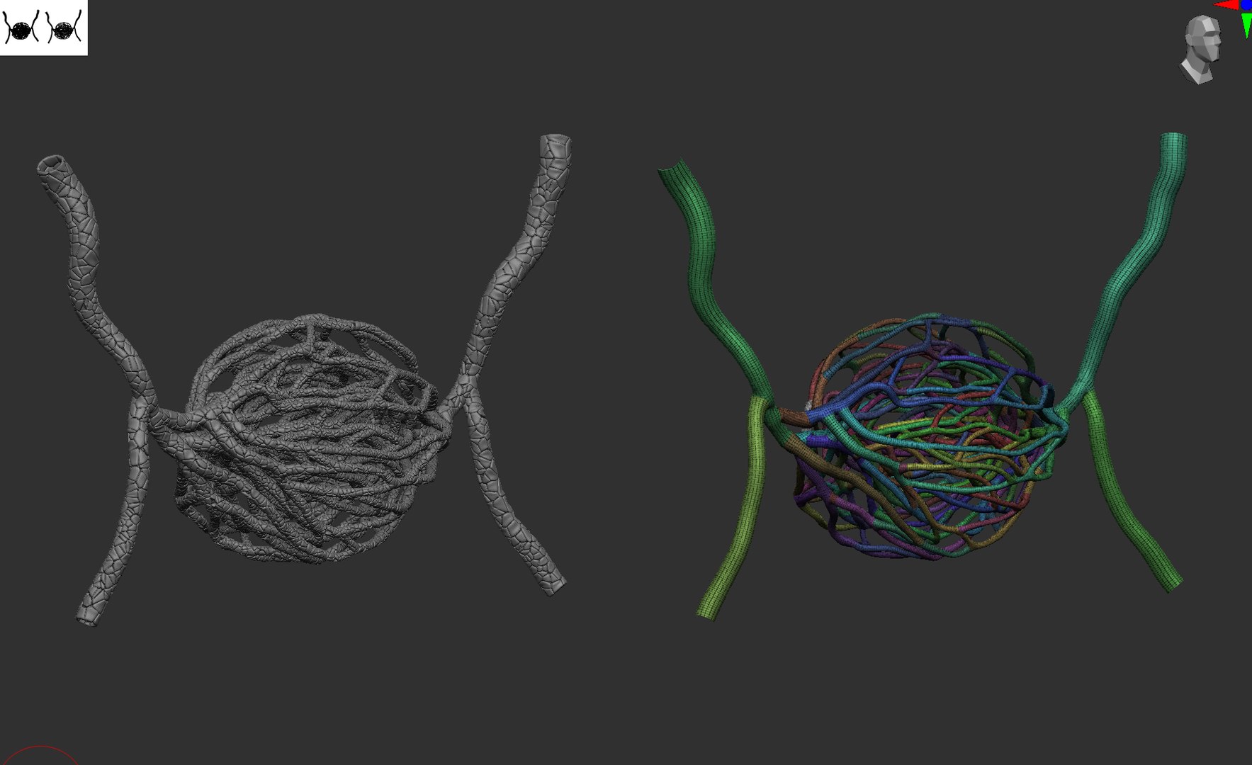 3D Blood Vessel Anatomy - Capillary - TurboSquid 2154018