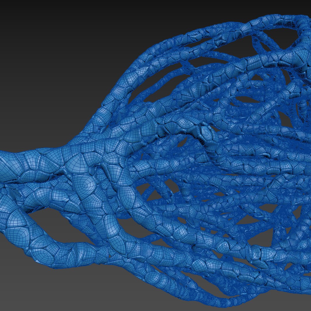 3D Blood Vessel Anatomy - Capillary - TurboSquid 2154018