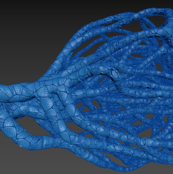 modelo 3d Anatomía de los vasos sanguíneos: capilar - TurboSquid 2154018